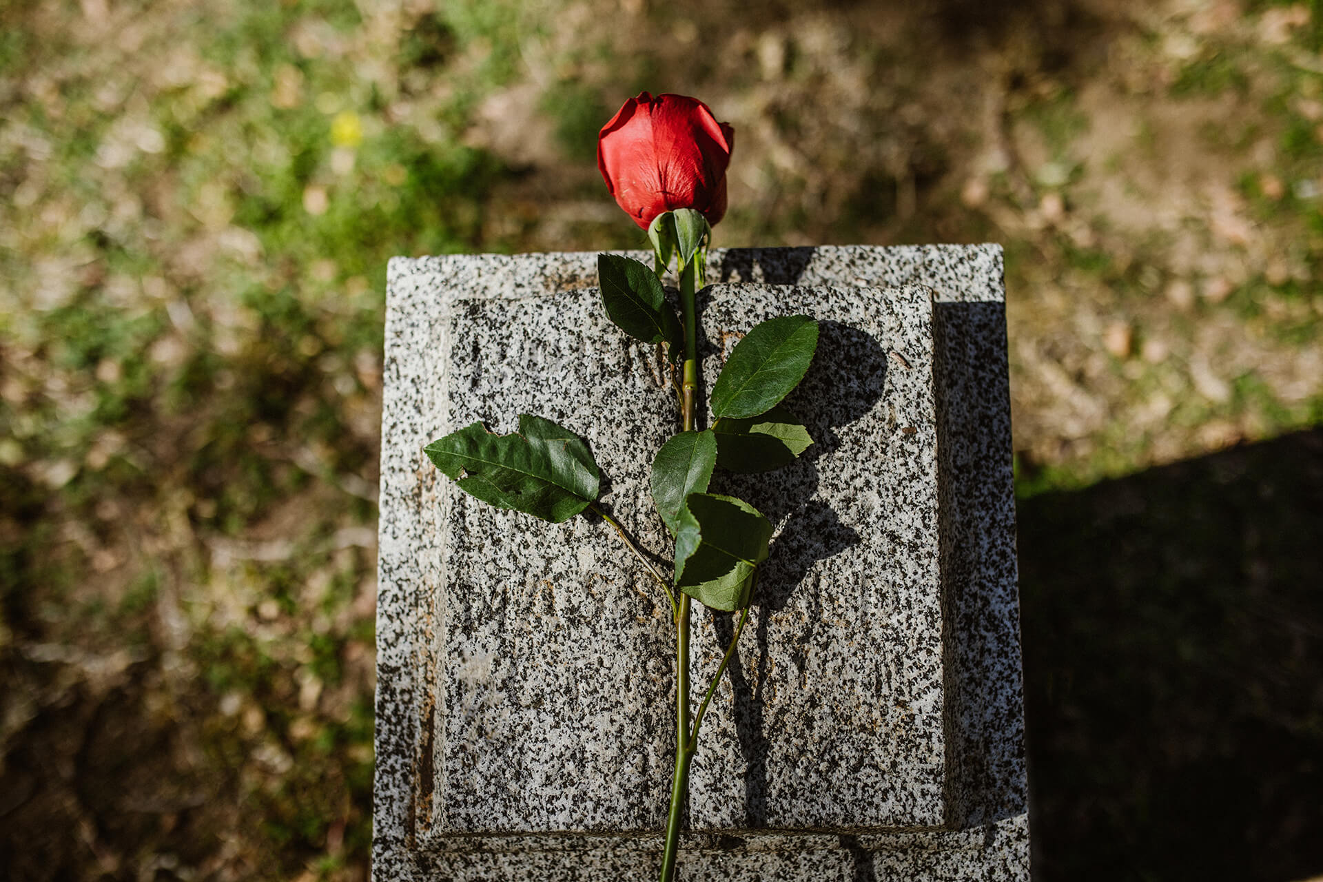 First steps to take when someone dies - Catholic Burial Society ...